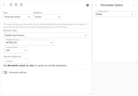 Parameter Select Neodash