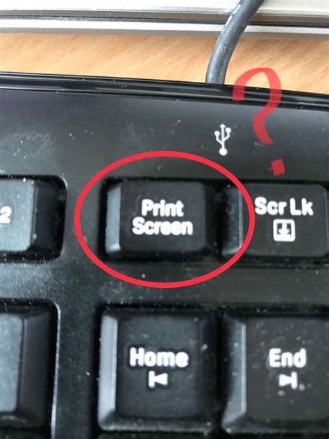 Gentoo Bcm4360 Broadcom Sta Hausmaha