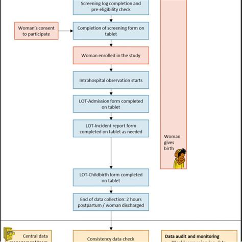 Study Procedure And Workflow For The Labor Observations All Images Download Scientific Diagram