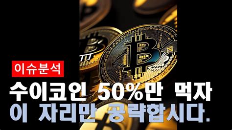 수이코인 매물소화 완료 이제는 폭등의 시작 Youtube