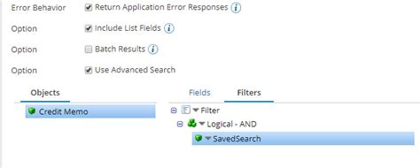 question netsuite process execution success but not getting data from