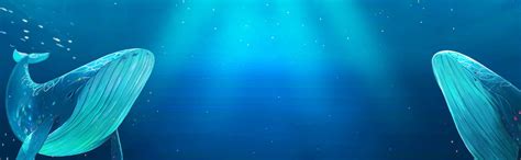 哲♂学第一弹兄贵哲学区