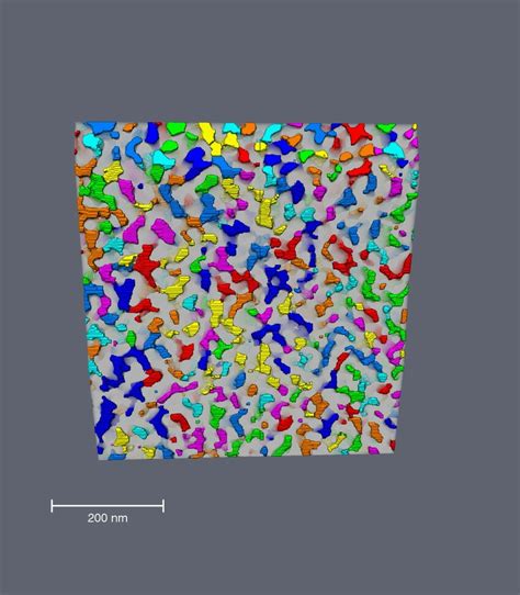Fig S Rendered Volume Of The Bit Color Labelled Separated Pores