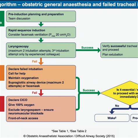 Oaa Das Obstetric Airway Guidelines 2015—master Algorithm Reproduced Oaa Das Obstetric Airway Guidelines 2015—master Algorithm Reproduced