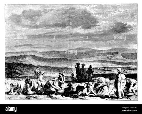 Manna Bread Cut Out Stock Images And Pictures Alamy