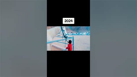 الصيصان شو حلوين Youtube