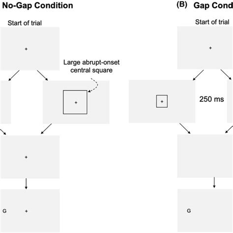 Schematic Illustration Of The No Gap And Gap Conditions Of Experiment 3
