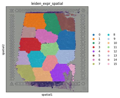 Exploring Spatial Transcriptomics A Dive Into Visium Data Analysis In Python Chatomics
