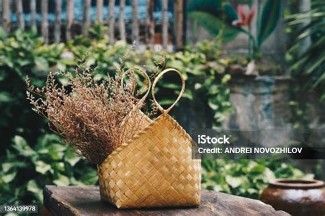 진짜 자연의 아름다움 배경 옐로우 백 비치 짚과 드라이 플라워 장식 디자인 야외 장소 나무 갈색 테이블 열대 녹색 배경 여름 트렌드 태양 진정 기분 휴식 간단한 하루 생활