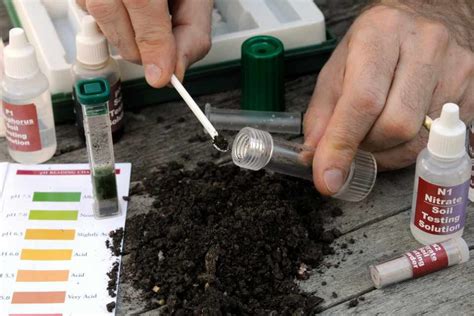 All About Soil Part Lab Soil Tests Equine Permaculture