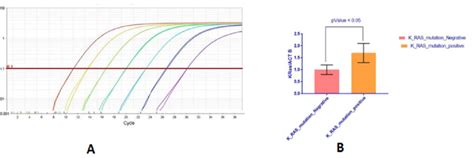 A K Ras Gene Amplification Plot In Tumor Tissue Compared To U6 Gene Download Scientific