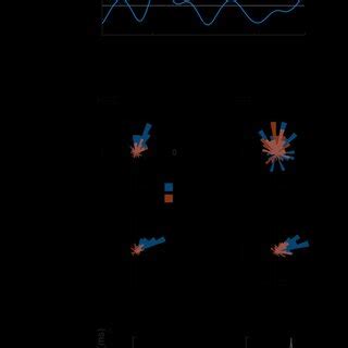 Phase Modulation Of Single Neurons A Example Of Phase Locking From A Download Scientific