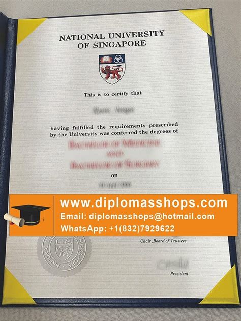 National University Of Singapore Diplomanus Degree By Musel Navar