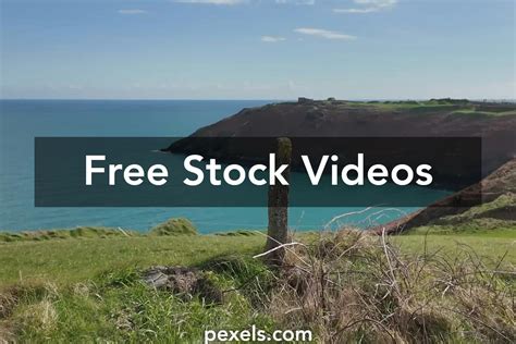 Moari Background Videos Download The Best Free 4k Stock Video Footage