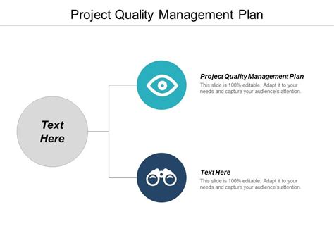 Project Quality Management Plan Ppt PowerPoint Presentation Styles Background Designs Cpb