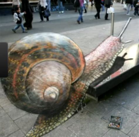 Perception Flashcards Quizlet