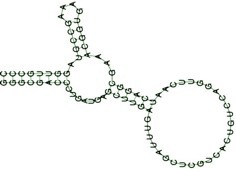 A Gentle Introduction To Computational Biology By Megan A Lim Bear