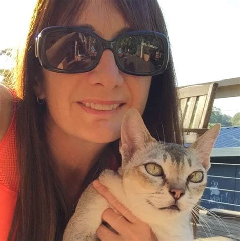 Grey Tabby Cats Facts And Frequently Asked Questions Cat World