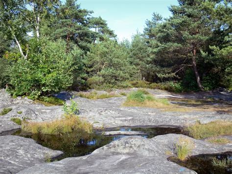 Fotos Het Woud Van Fontainebleau Gids Toerisme And Recreatie