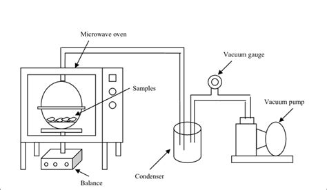 Experimental Microwave Vacuum Drying Apparatus Download Scientific Diagram