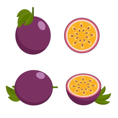 Premium Vector Passion Fruit A Collection Of Isolated Fruits