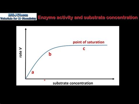 Enzyme Substrate Complex Graph