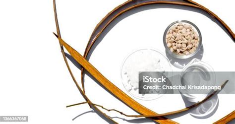 흰색 실험실 테이블에 화장품 화학 화학 시계 유리의 마이크로 결정 왁스와 술액체가 있는 비커 옆에 놓인 유리 용기에 수막 왁스 맨 위 보기 왁스에 대한 스톡 사진 및 기타