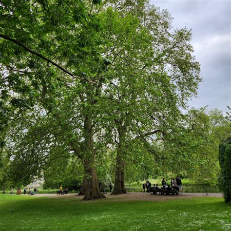 아이랑 유럽여행 2일차ㅣ영국 런던 세인트 제임스 파크 아이랑 놀이터 아이랑 런던 여행 네이버 블로그