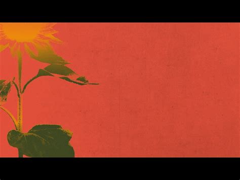 Great And Small Loop 07 Timber And Pearl Worshiphouse Media