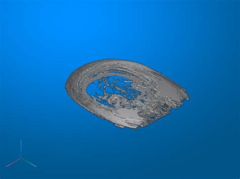 Bwmorph3 Morphological Operations On Binary Volume Matlab