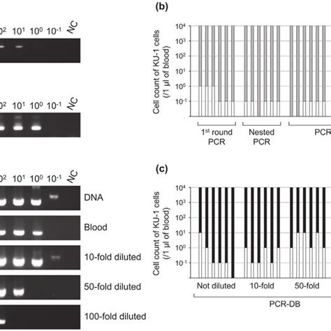 Comparison Of Nested Pcr And Pcr Db Sensitivity To Assess Pcr Method Download Scientific