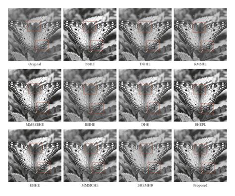 “butterfly” image and enhancement results of different algorithms download scientific diagram