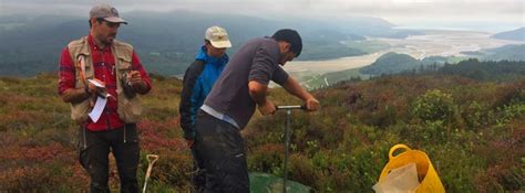 Srk Insights January 2020 Srk Consulting