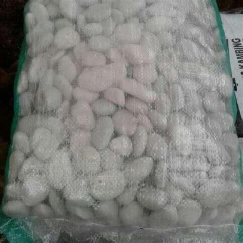 Jual Batu Koral Putih Kecilsedangbesar Di Seller Berkah Jaya