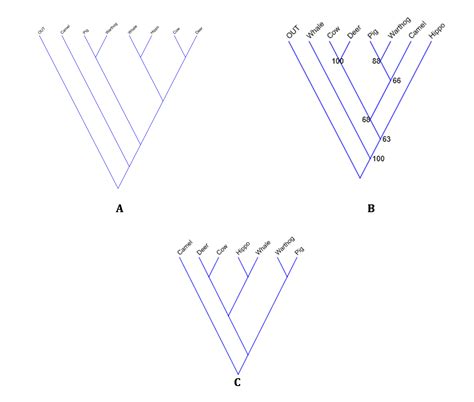 Solved Explain The Parsimonious Tree Indicated In The Solved Explain The Parsimonious Tree Indicated In The