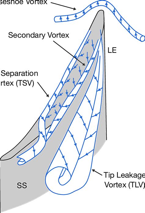 4 Sketch Of The Vortex Structure Around The Tip Adapted From Kang And Download Scientific