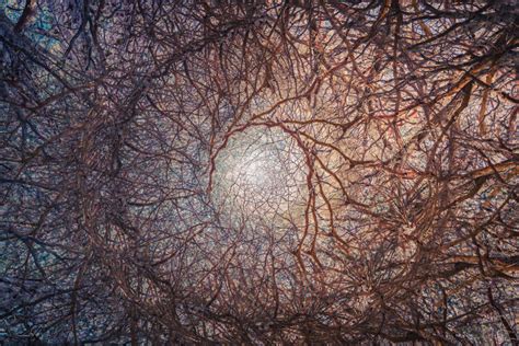 Esther Van Overbeek Makes Photographs A Sony Camera Cant Do