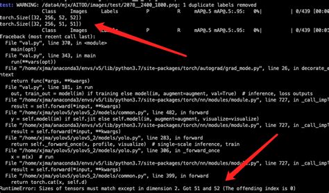 Runtimeerror Sizes Of Tensors Must Match Except In Dimension 2 · Issue 5799 · Ultralytics