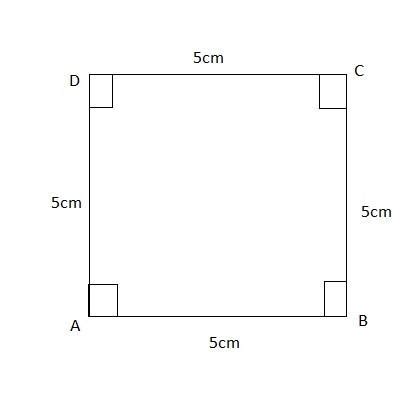Construct A Square Of Side Cm And Find Its Area