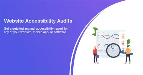 Web Accessibility Audit Service WCAG Audits AEL Data