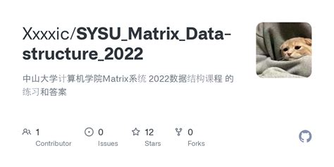 GitHub Xxxxic SYSU Matrix Data structure 2022 中山大学计算机学院Matrix系统 2022