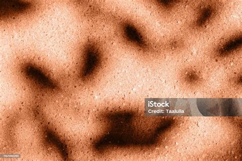 나뭇가지의 그림자가 있는 아스팔트 표면이 닫힙니다 추상 배경 오렌지 색 톤 0명에 대한 스톡 사진 및 기타 이미지 0명 갈색 거리 Istock