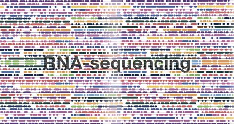 Rna Sequencing Principle Steps Methods And Applications