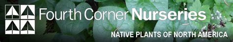 Home Fourth Corner Nurseries
