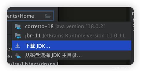 Mac Idea 使用疑难问题：idea Jdk 失效导入异常idea配置jdk无效怎么解决 Csdn博客