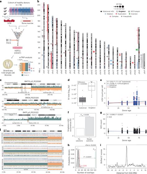 Cell Type Specific Consequences Of Mosaic Structural Variants In