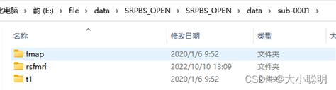 多个被试的多时间点3d nii文件批处理成为每个被试各自的4d nii文件 核磁批处理后一个被试有多个t1 nii csdn博客