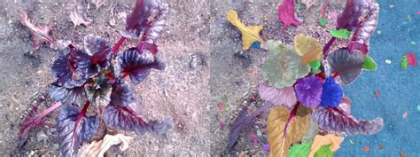 Segment Farmbot Images Farmbot Developer Documentation