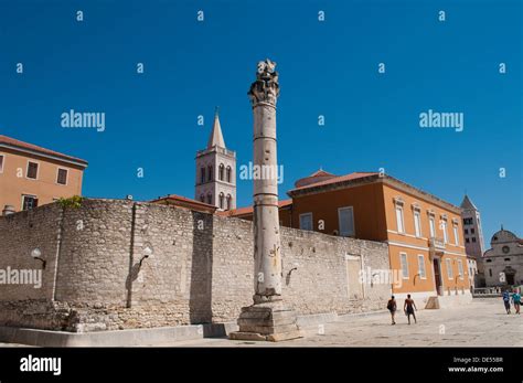Pillar Of Shame Stup Srama In The Historic Forum Poljana Zadar Croatia Stock Photo Alamy
