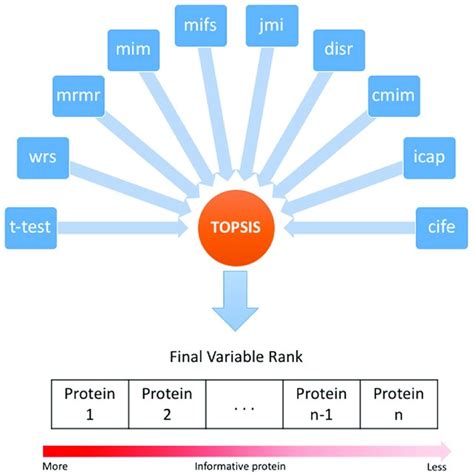 Illustration Of Topsis This Illustrative Example Explains The